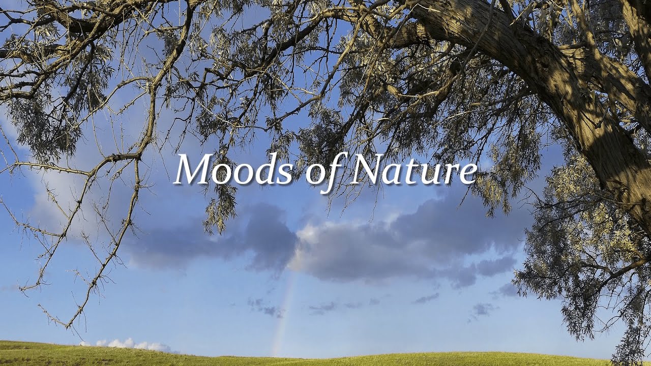 Moods of Nature (Excerpt) - YouTube