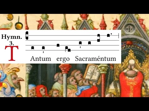 Tantum ergo - Latin Gregorian Chant Eucharistic hymn - YouTube