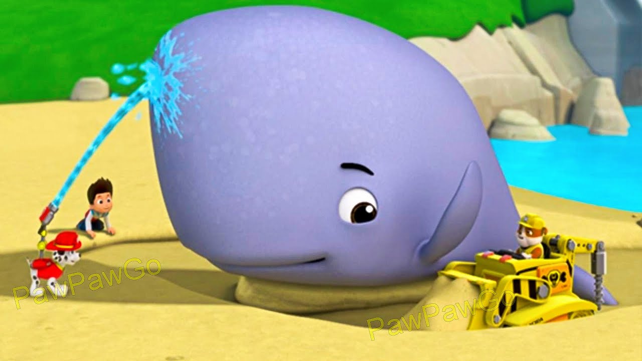 PAW Patrol On a Roll #20 Baby whale Nick Jr HD - YouTube