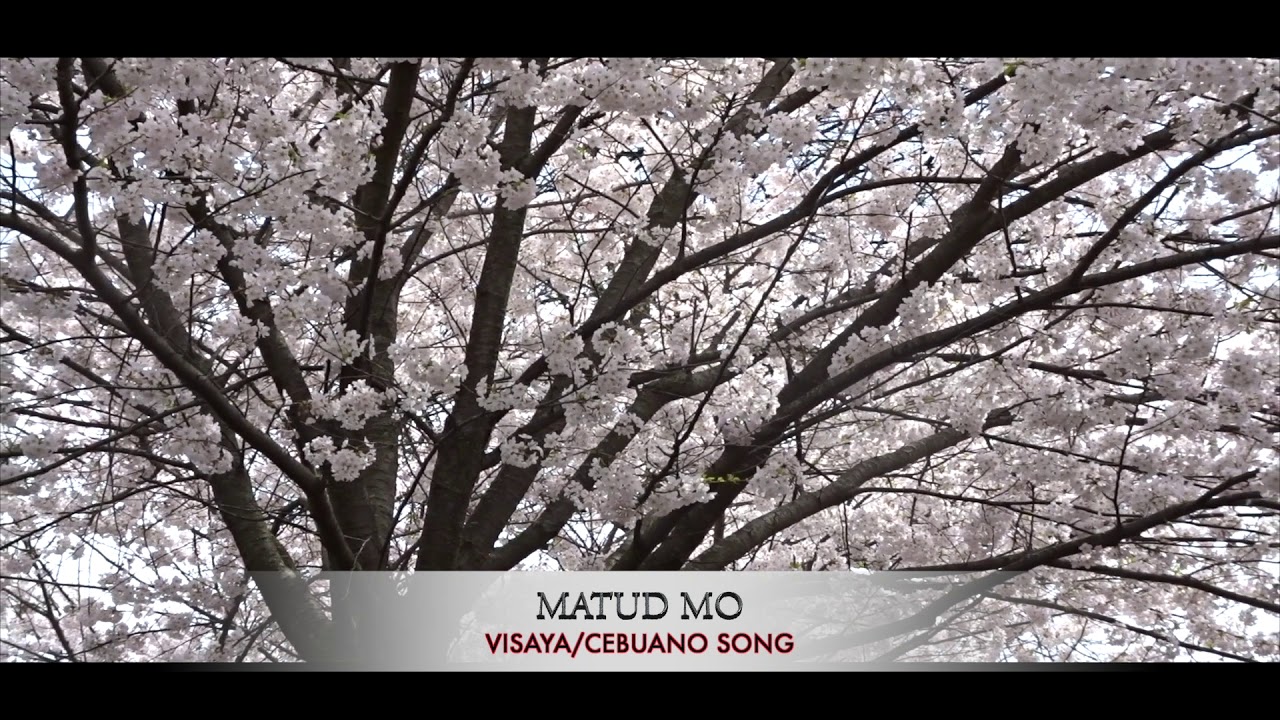 MATUD MO VISAYA/CEBUANO SONG - YouTube