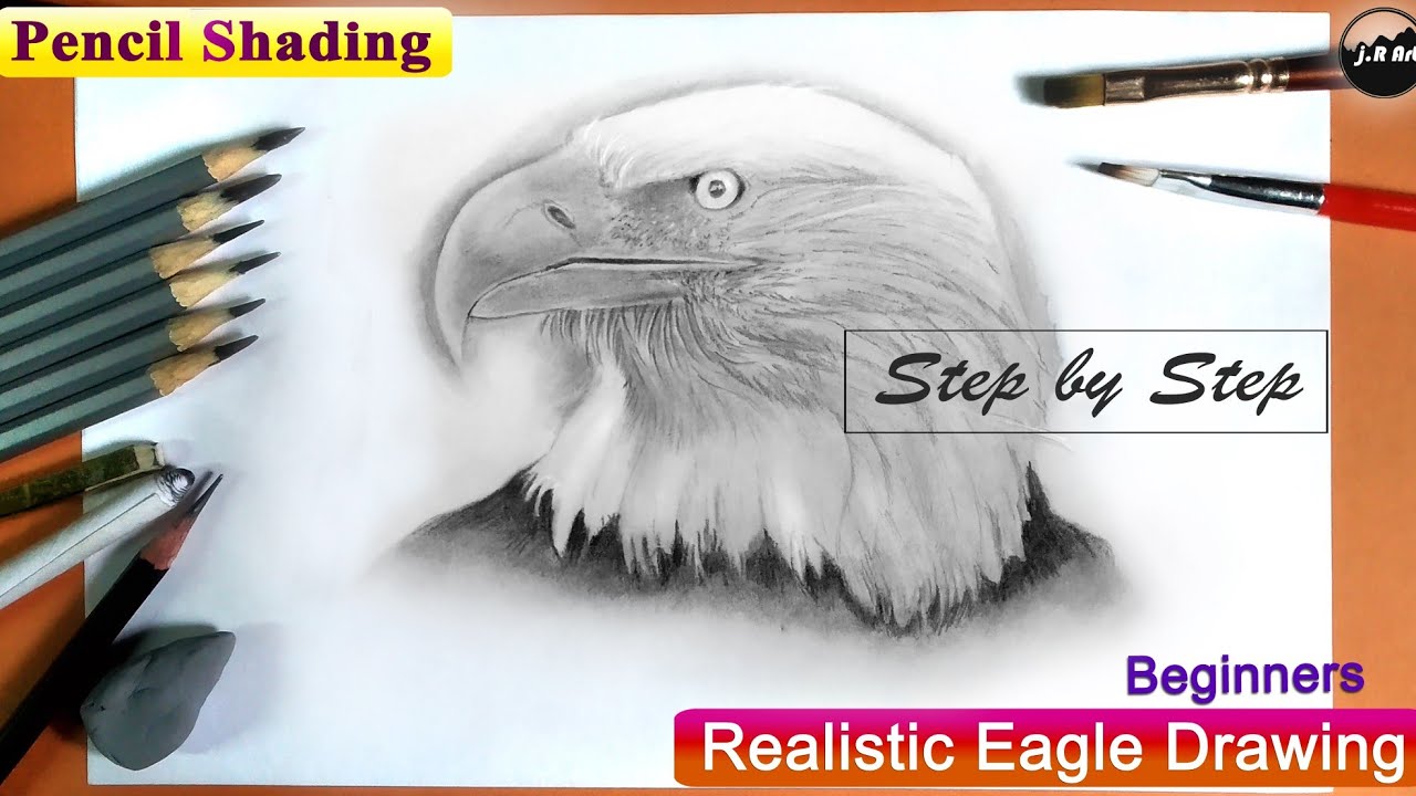 Eagle head Realistic Drawing easy | Pencil shading kaise banaye | Eagle ...