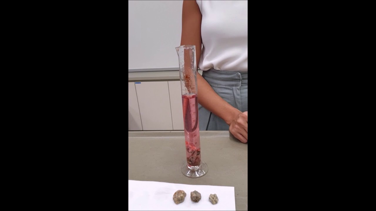 Crow and Pitcher Experiment - YouTube