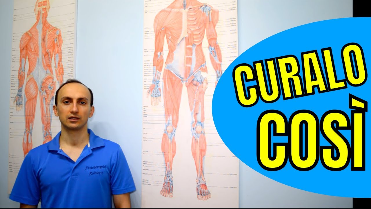 Rottura del Tendine Rotuleo: Come si Riconosce e la Fisioterapia - YouTube