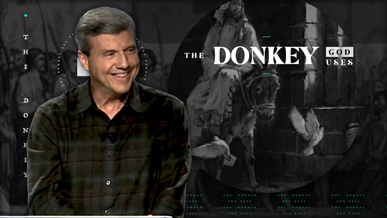 The Donkey God Uses - Genesis 49:8-11a - April 13th - YouTube