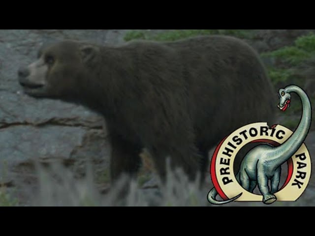 Prehistoric Cave Bear Size