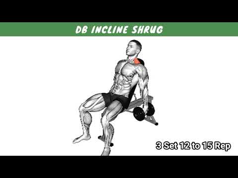 Rise of the Traps: Gym Workout For Bigger Traps! - YouTube