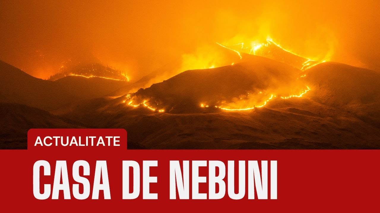 Of, alegeri in Germania - YouTube