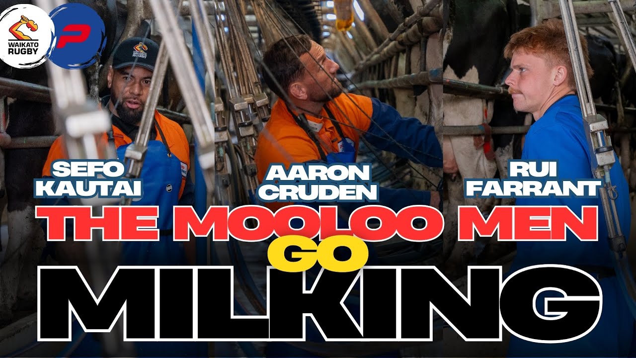 Mooloo Men go Milking - YouTube