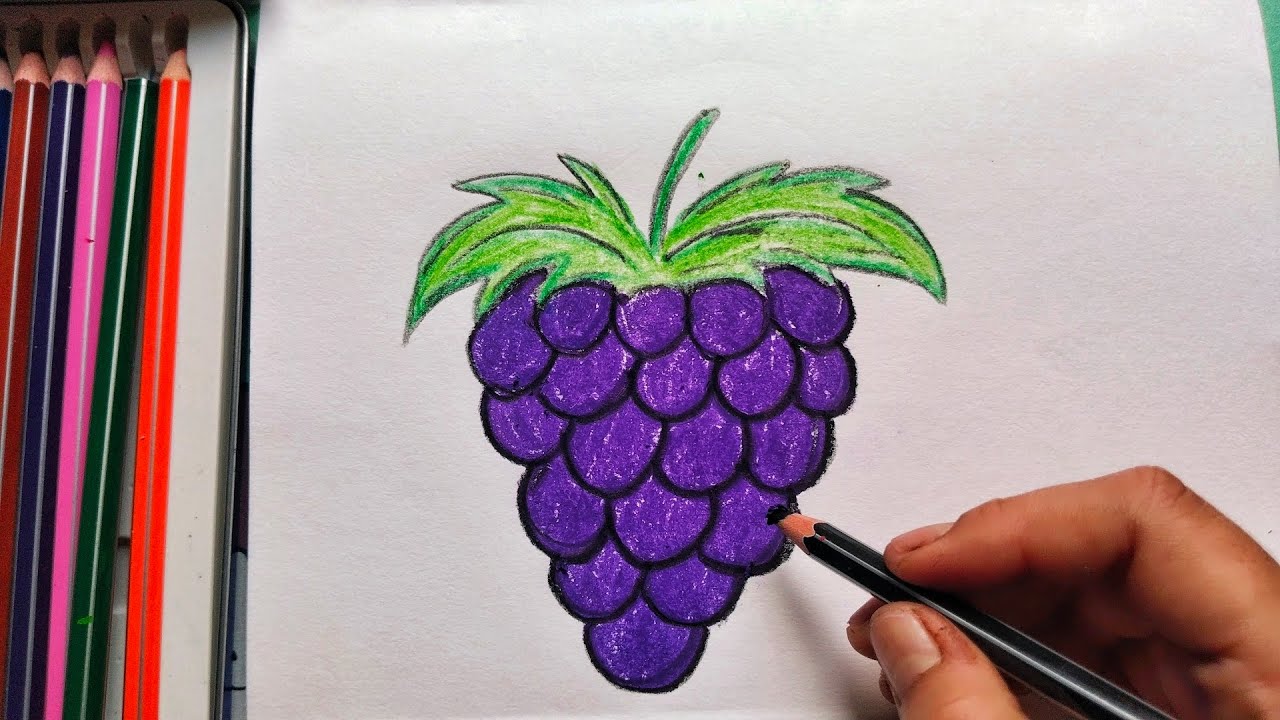 How to draw grapes step by step/ easy drawing for beginners - YouTube