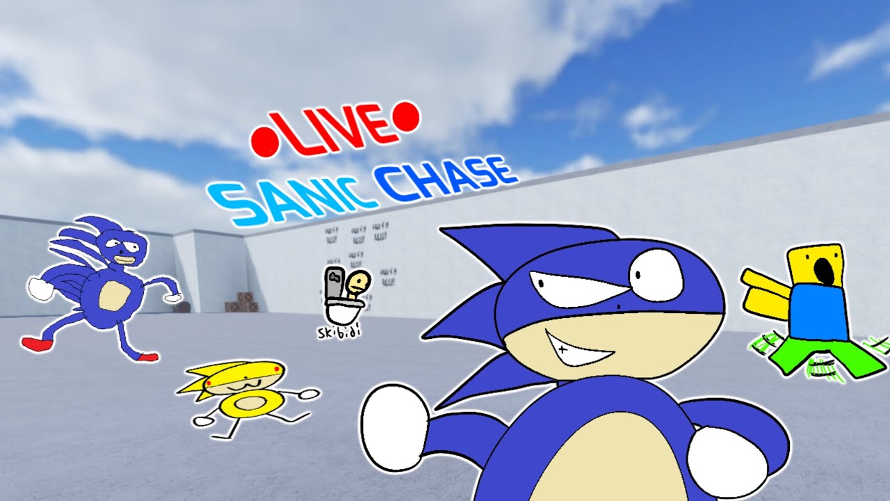⚡️PLAYING SANIC CHASE LIVE⚡️ - YouTube