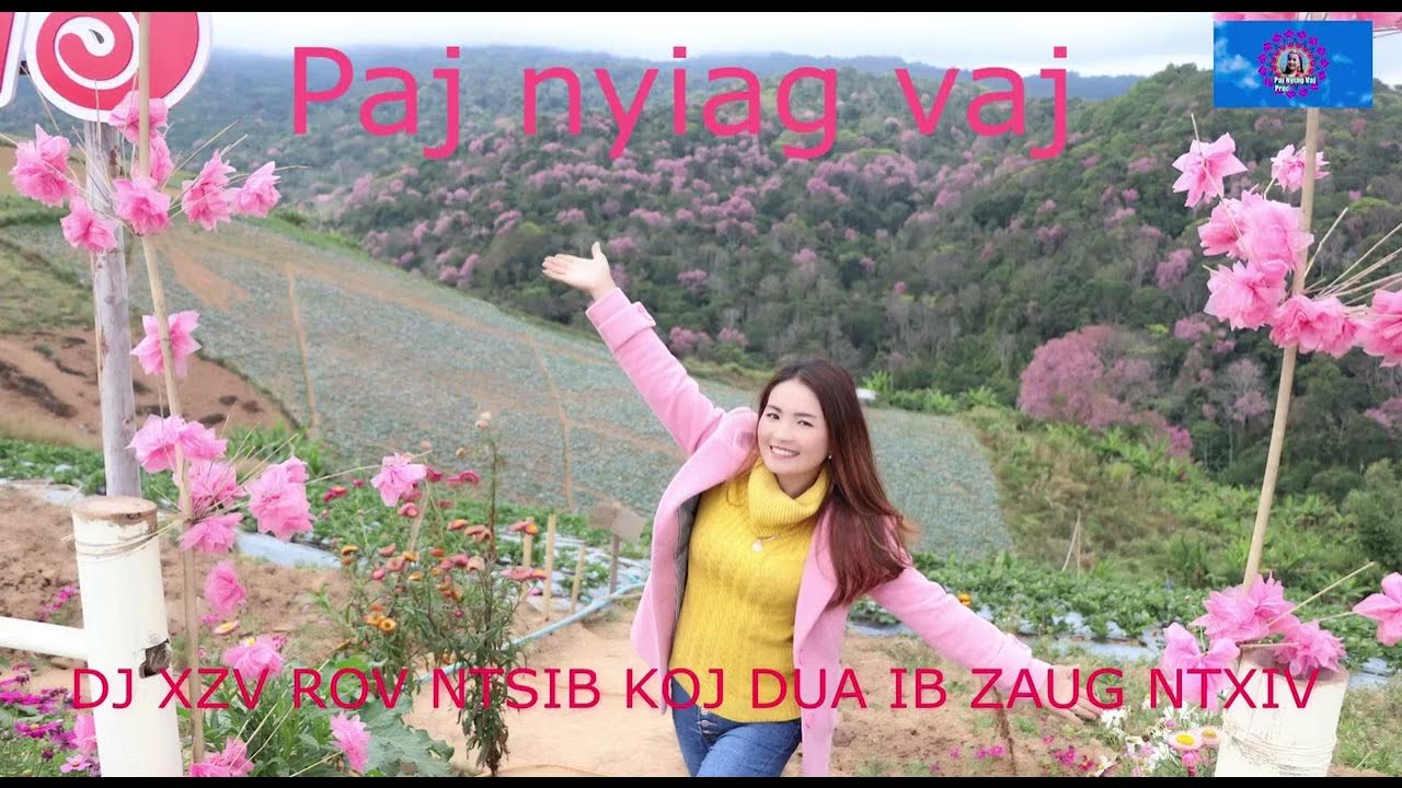 DJ Xav ntsib koj dua ib zaug ntxiv by paj nyiag vaj 2025 - YouTube