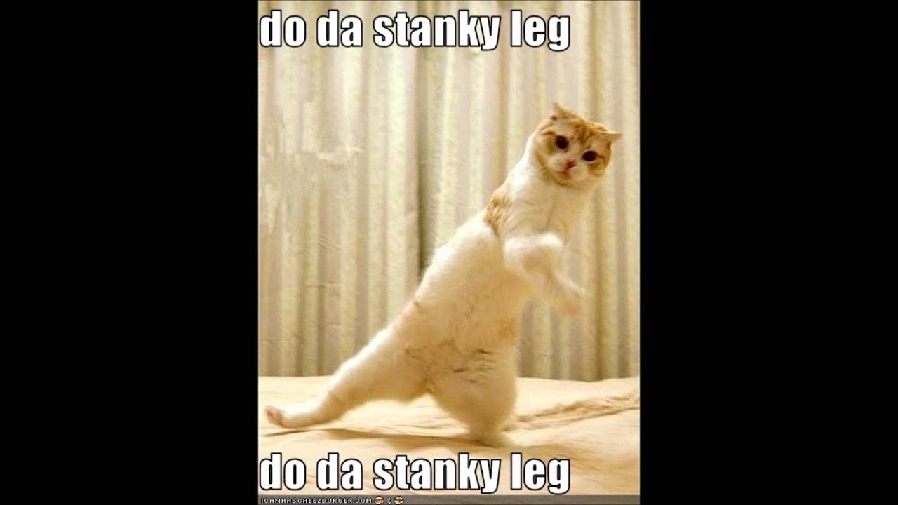 Hood Stanky Legg- GS Boyz - YouTube