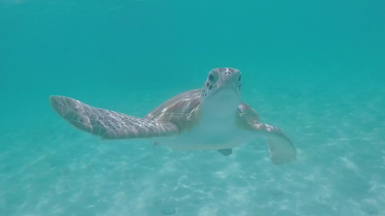 Waters of Exuma - YouTube