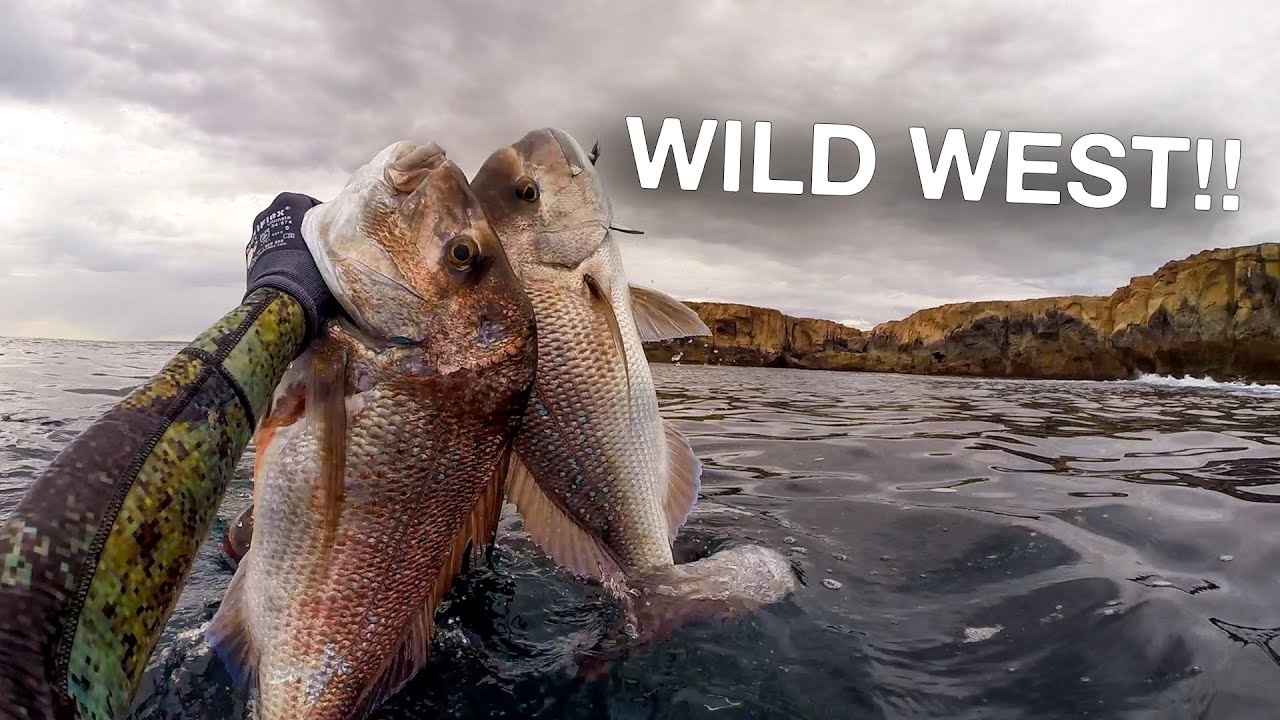 The Best Spearfishing from Shore in Australia?? - YouTube