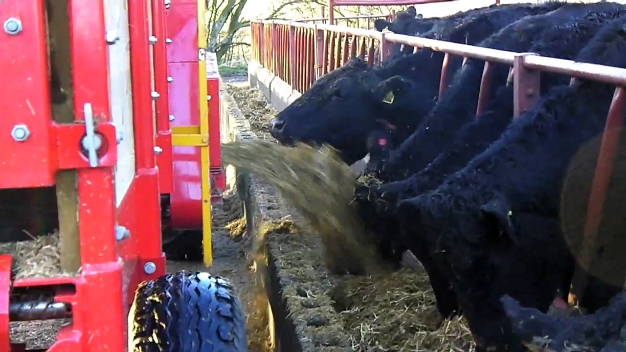 Foster Feeder Wagon / Forage Box - D600 rear view - YouTube