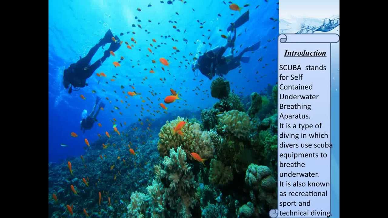 ST Thomas Scuba Diving - You Will Find It Amusing - YouTube