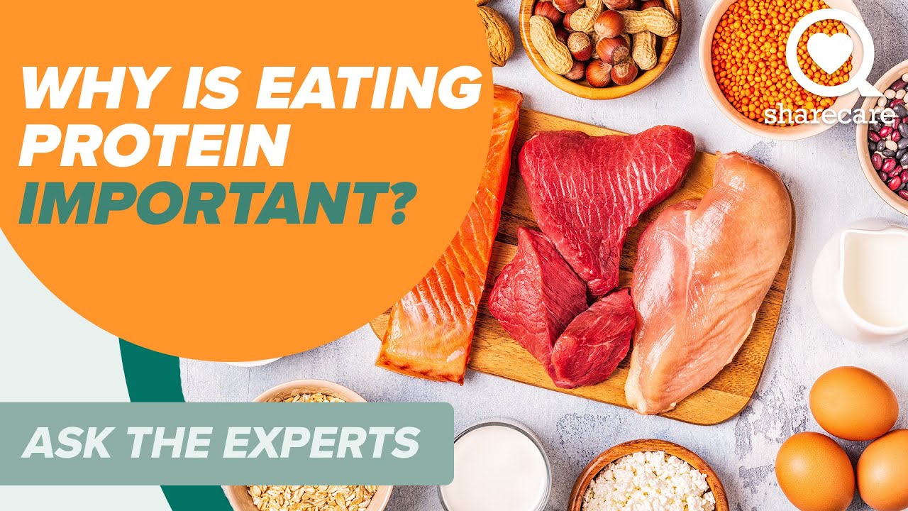 Why is Eating Protein Important? | Ask The Experts | Sharecare - YouTube