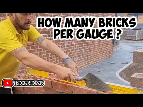 Garden wall repair. how many bricks per gauge? #bricklaying #build # ...