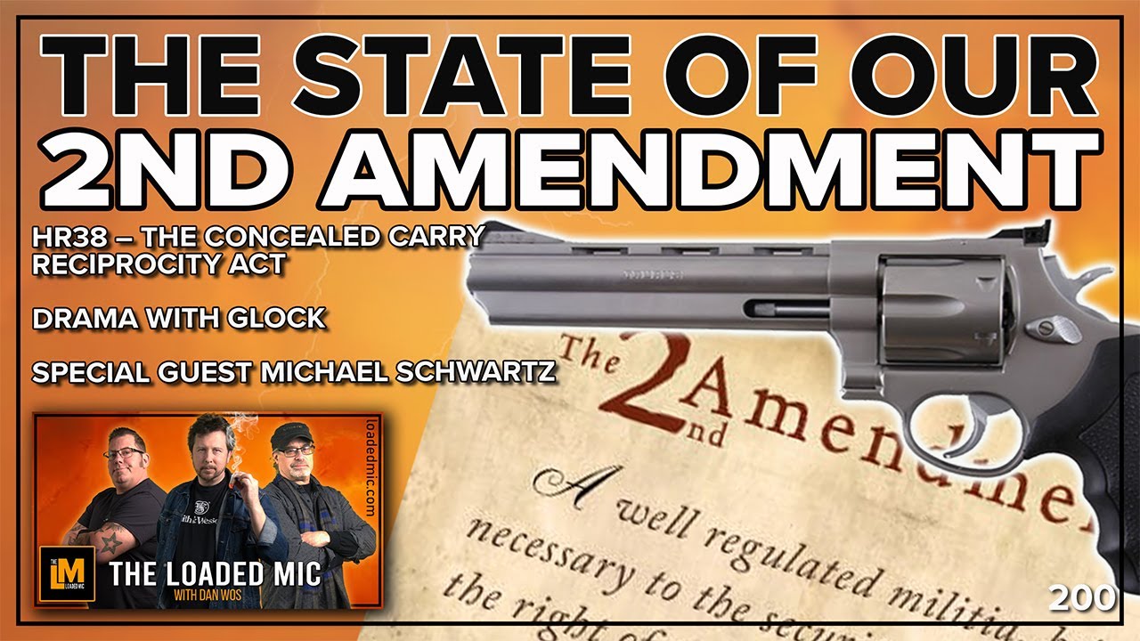 THE STATE OF OUR 2ND AMENDMENT | MICHAEL SCHWARTZ | The Loaded Mic ...