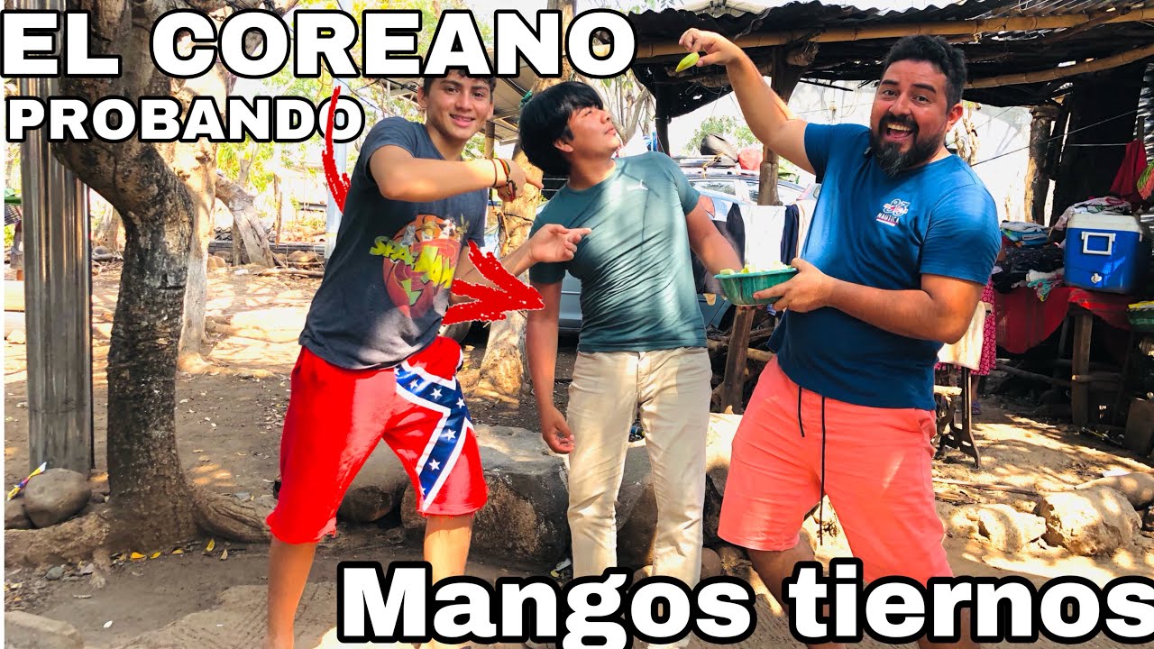 PROBANDO MANGOS TIERNOS CON EL COREANO #coreano - YouTube