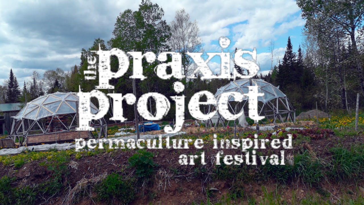 Praxis Project Permaculture Inspired Art Festival - YouTube