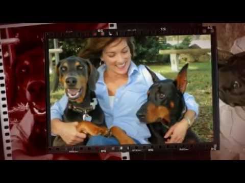 Angie Skinner and her Beloved Dobermans - YouTube
