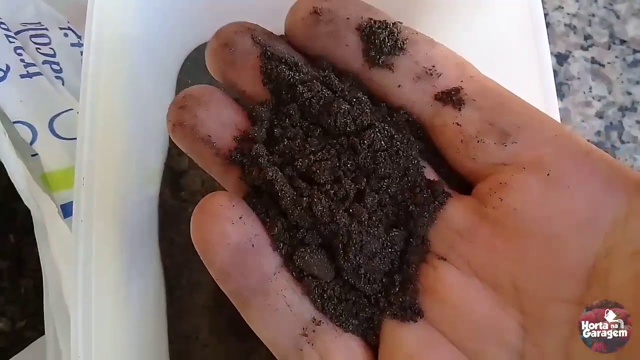 COMO FAZER ADUBAÇÃO DOS PÉS DE PIMENTAS - YouTube