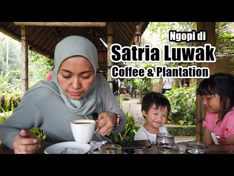 TravelVlog : Satria Luwak Coffee & Plantation - Menikmati Kopi Luwak Di ...