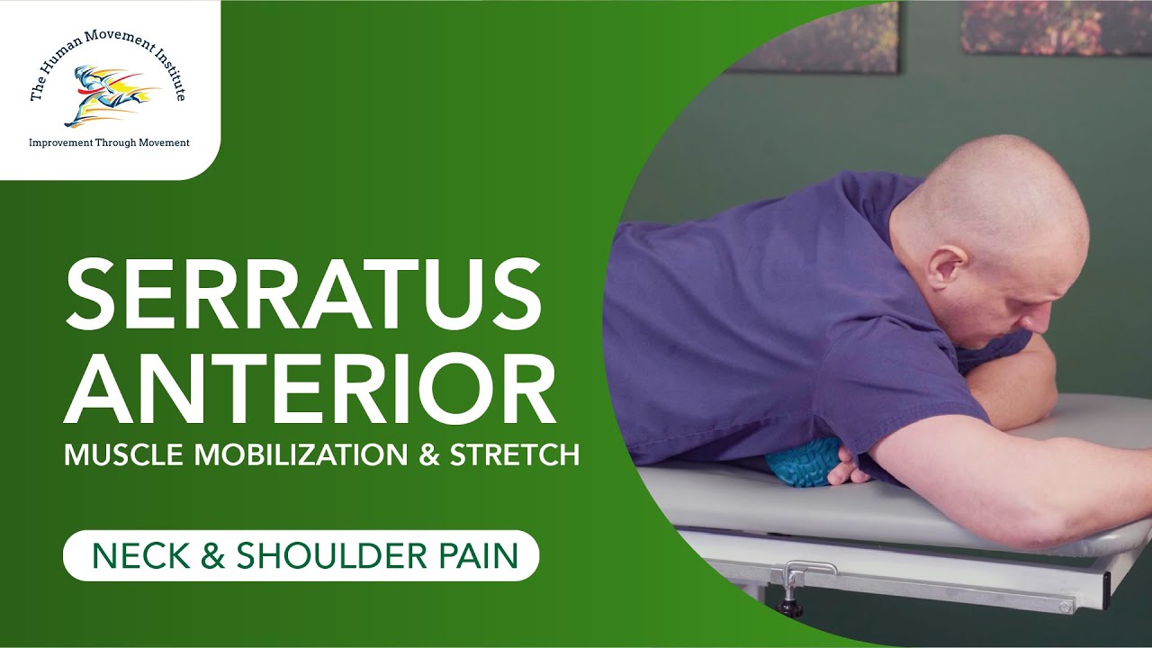 Serratus Anterior Muscle Mobilization and Stretch for Serratus Anterior ...