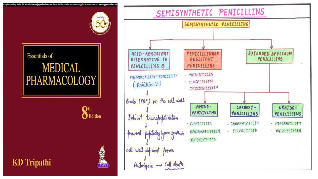 Semisynthetic Penicillin Classification | Pharmacological ...