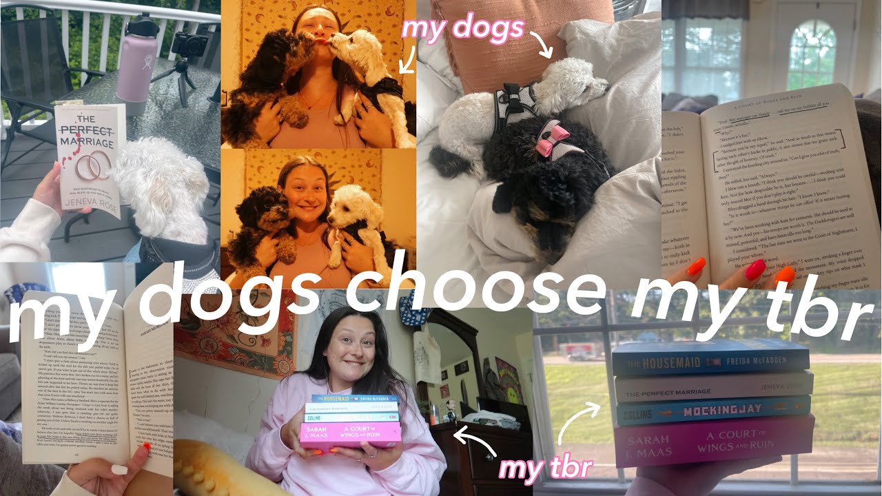 my dogs pick the books i read 🐶📖 | *spoiler free reading vlog* - YouTube