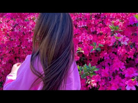 Gözəl qız şəkilləri❤️😍
