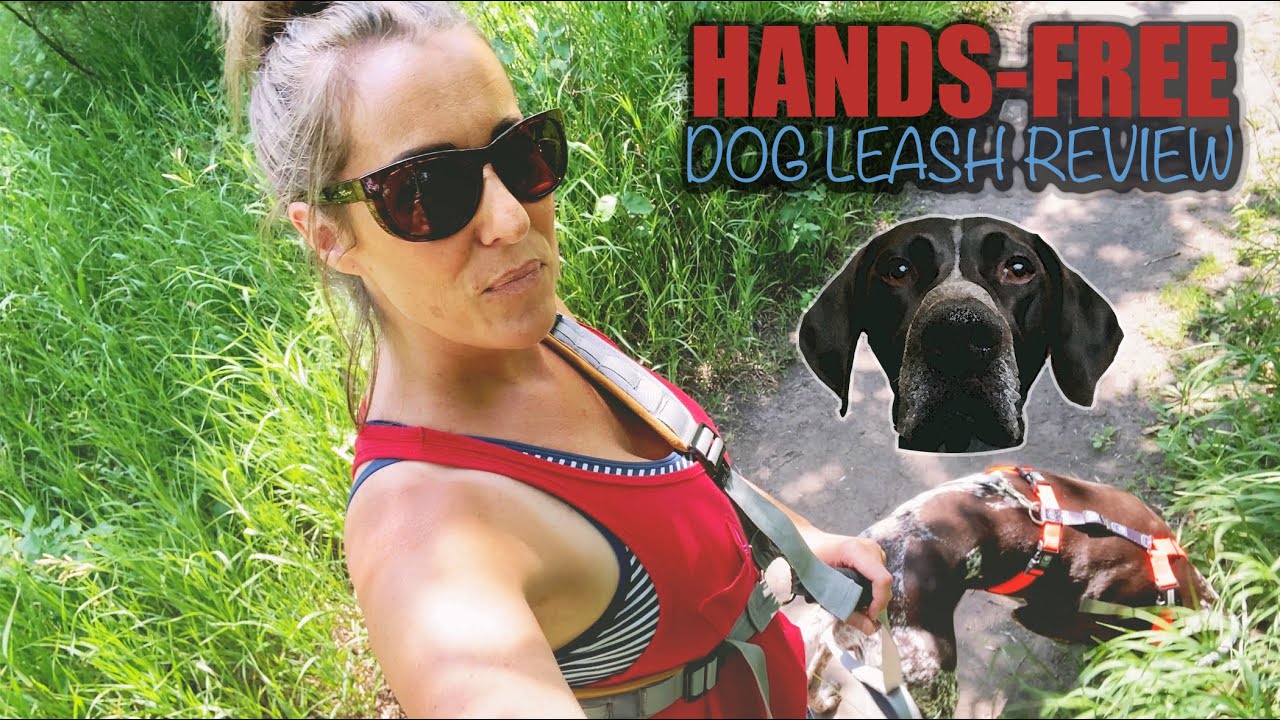 LIFEHANDLE Hands Free Dog Leash Review - YouTube
