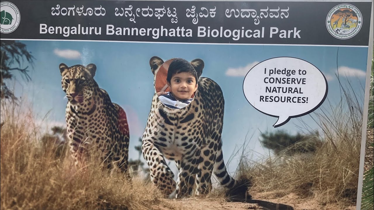 Thaksh’s second visit to Bannerghatta National Park || Bannerghatta ...