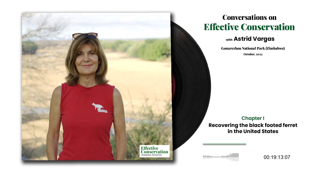 Astrid Vargas. Chapter 1. Recovering the black-footed ferret in the ...