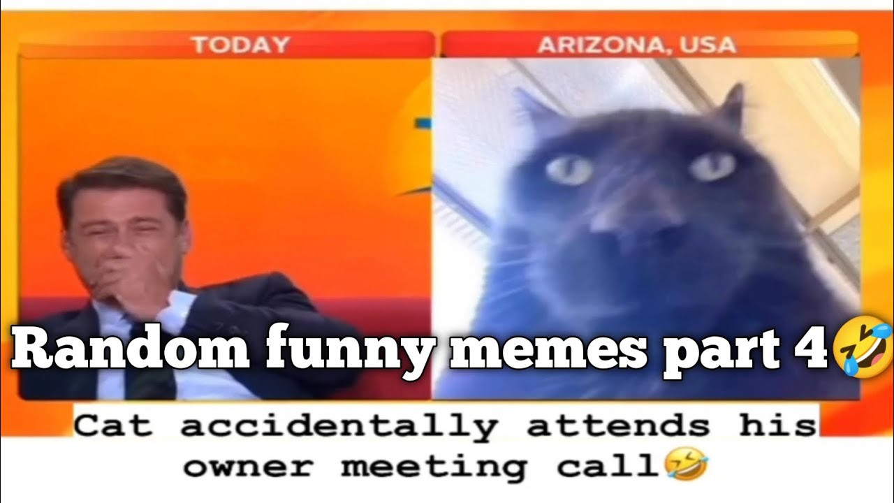 Random funny memes found on internet part4 🤣 #memes #dankmemes - YouTube