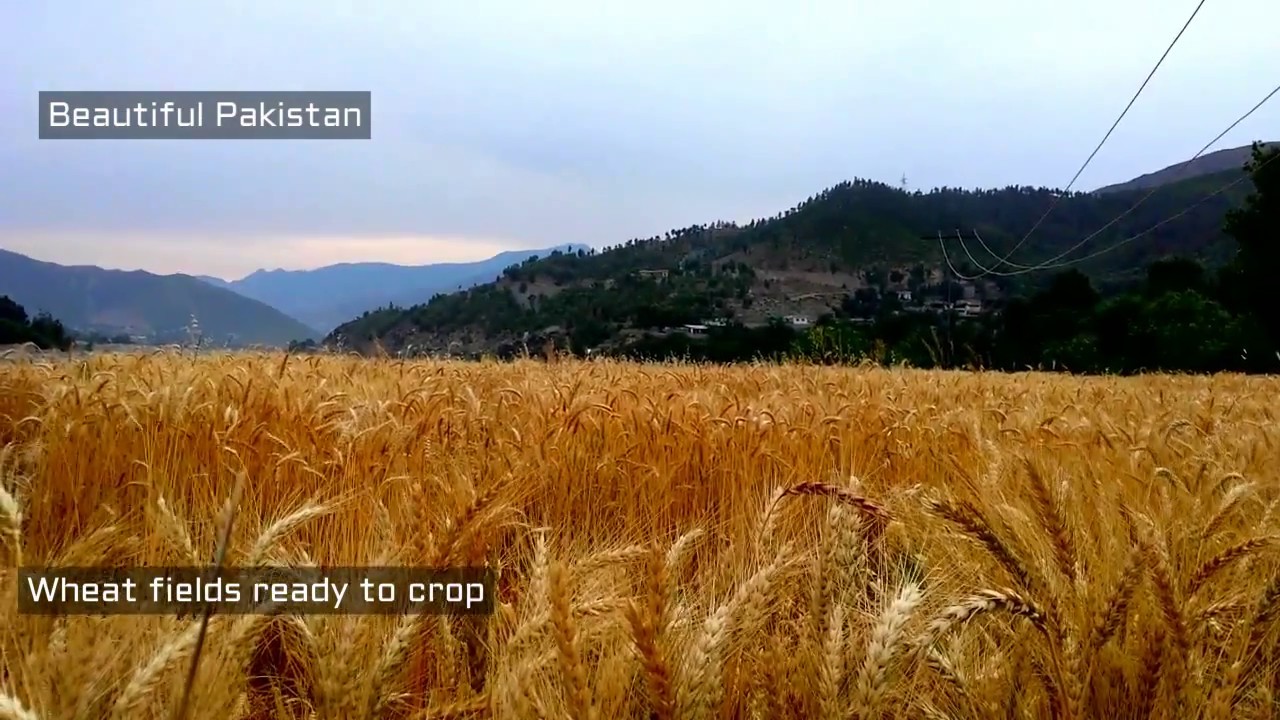 Dir lower beauty KPK - YouTube