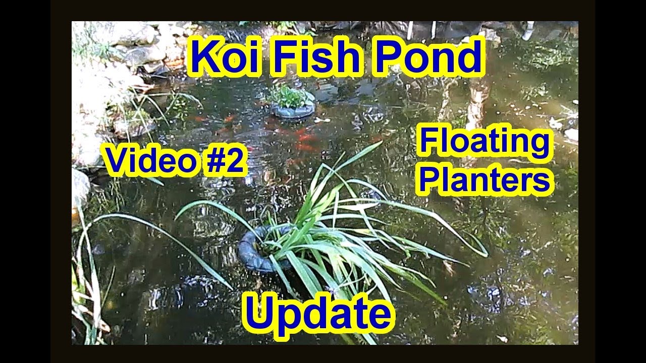 Floats Update DIY - Fish Koi Pond Float Planter - Floating Planters ...