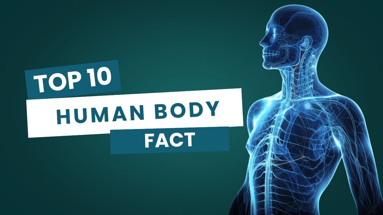 Human Body SECRETS You Never Knew Existed! - YouTube