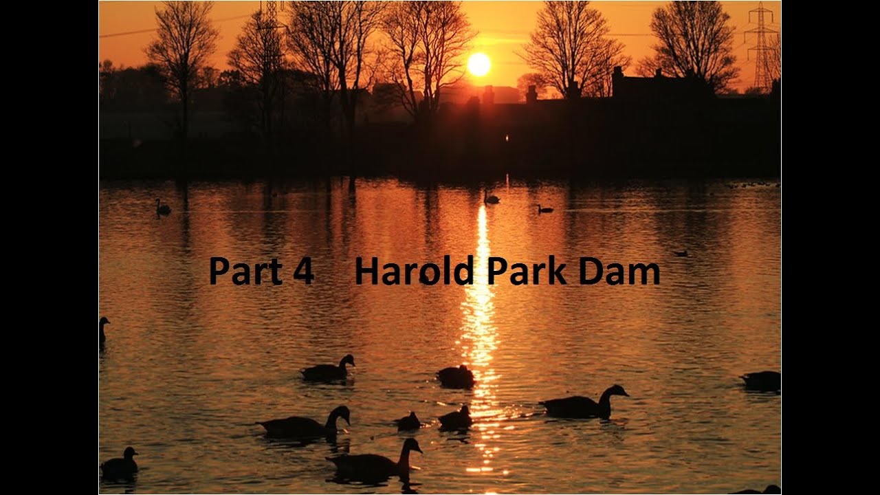 Harold Park Reservoir and Watercourses Part 4 - YouTube