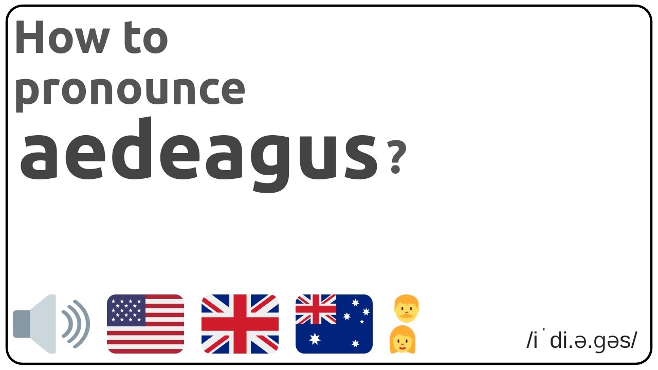 How to pronounce aedeagus in english? - YouTube
