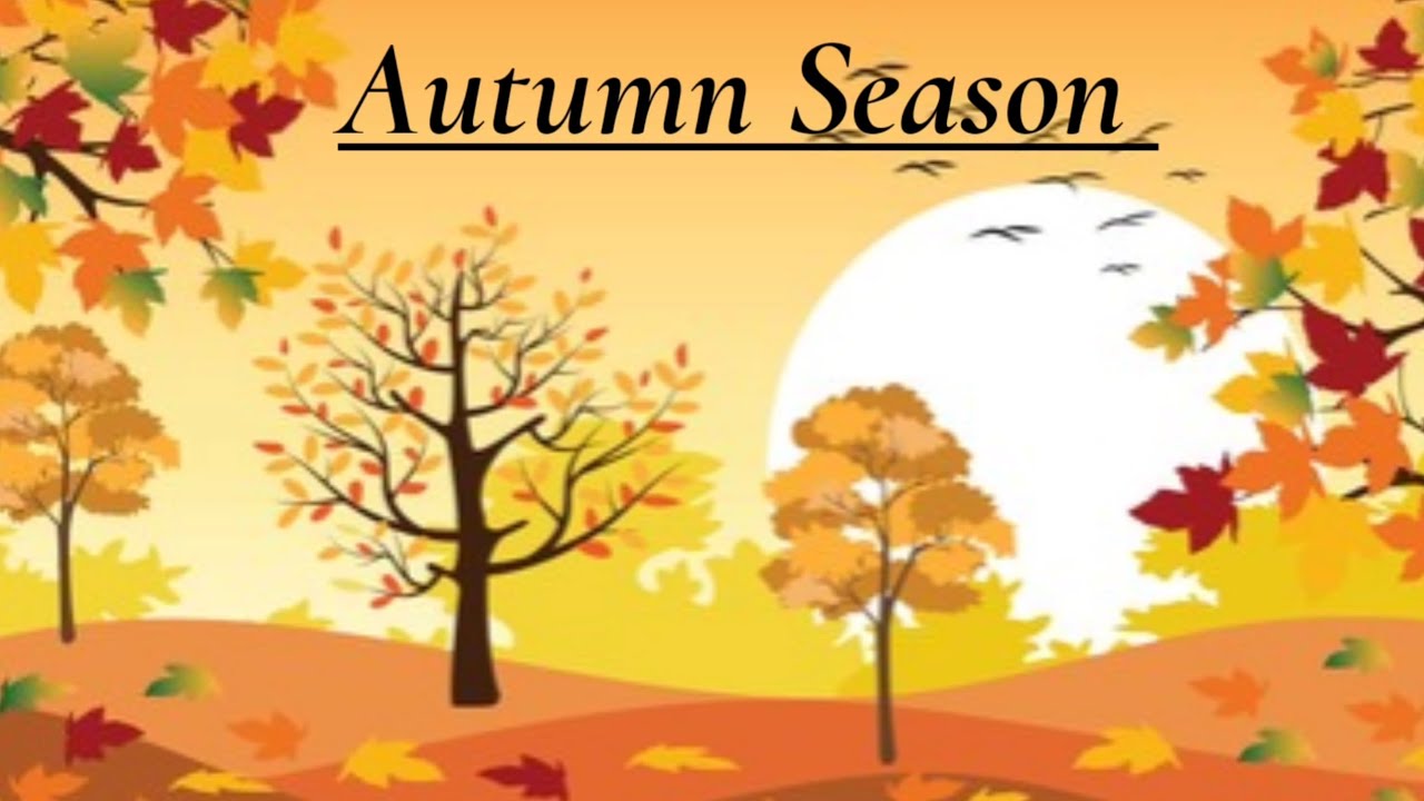 Learn about seasons | seasons name for kids | Autumn season # ...