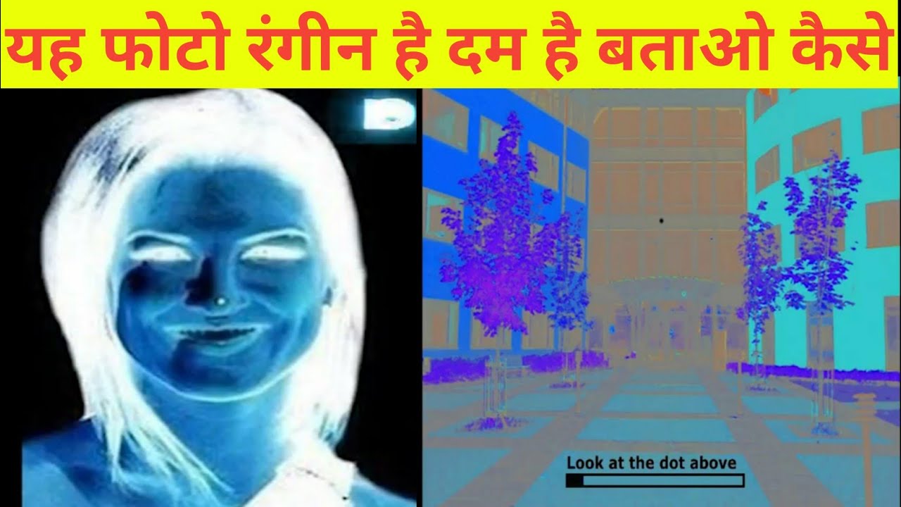 इस फोटो में क्या है _ Enigmatic Photo Illusions Explained . Wipb ...