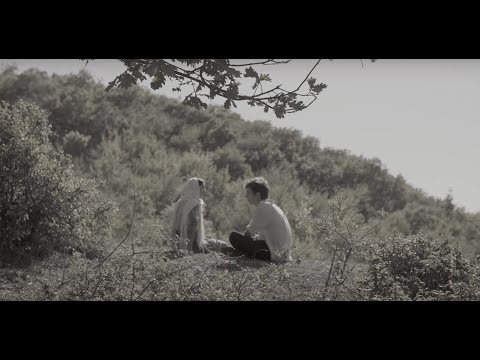 Yarqunat - Sədaqət Kərimova’nın Bestesi | ‘Soyuq Günəş’ Film Müziği
