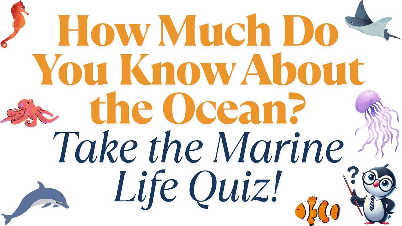 🌊 Amazing Marine Life Quiz! | Fun Ocean Facts for All Ages 🐠🐙 - YouTube