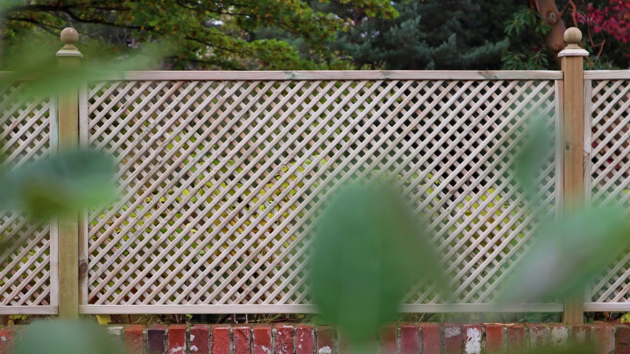 Diagonal Privacy Trellis - YouTube