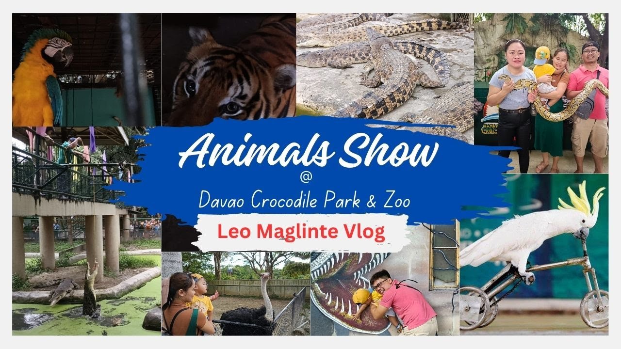 DAVAO CROCODILE PARK & ZOO ANIMAL AMBASSADORS SHOWING TALENT | ANIMALS ...