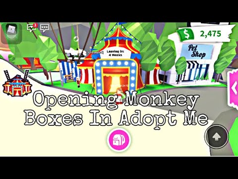 Opening Monkey Boxes In Adopt Me🐵*First Time* - YouTube