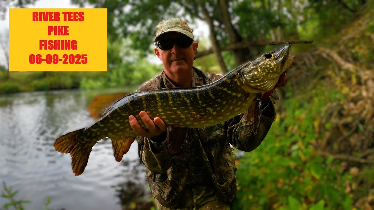 RIVER TEES PIKE FISHING 06 09 2025 - YouTube
