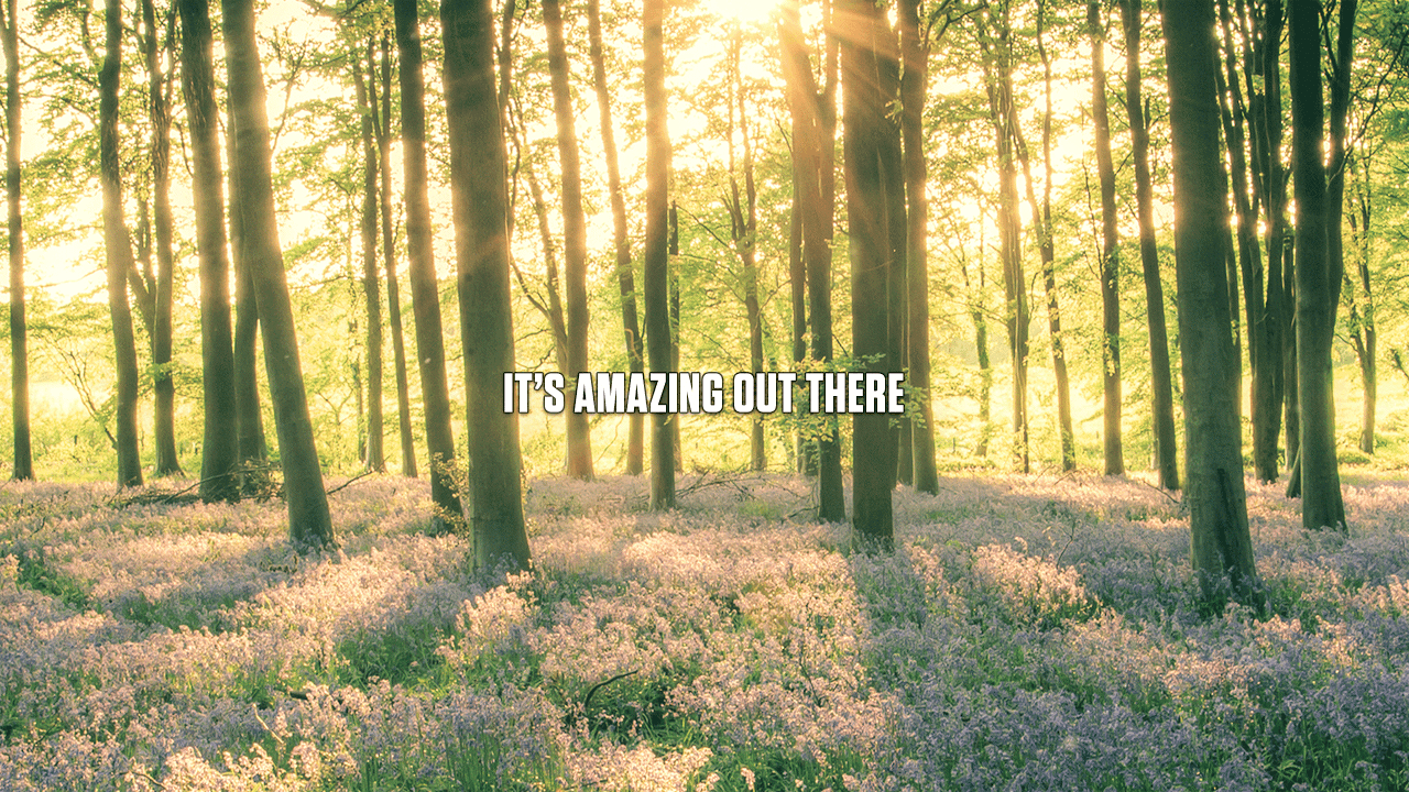 The Weather Channel Live Stream - YouTube